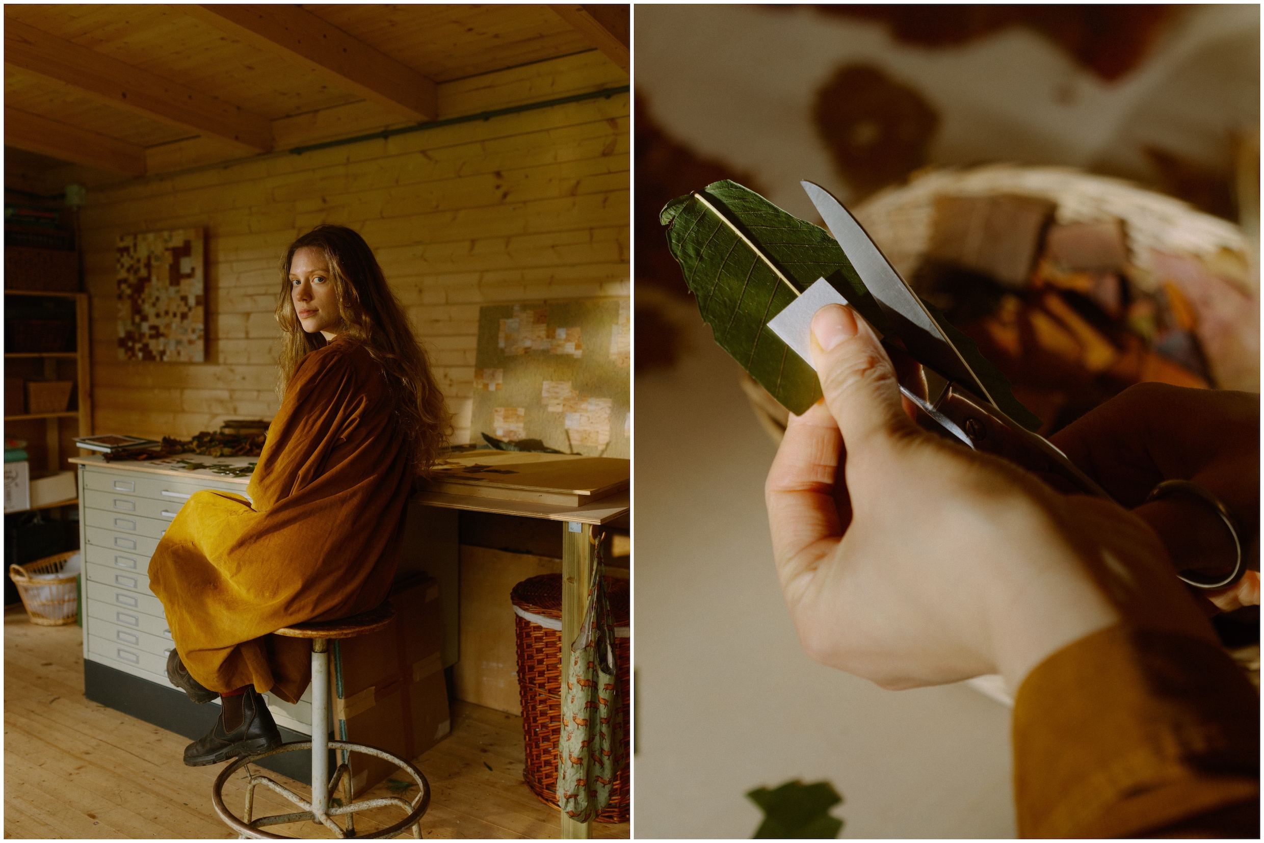 Milah van Zuilen maakt blad-en-schorskunst: ‘Juist om verbanden te ...