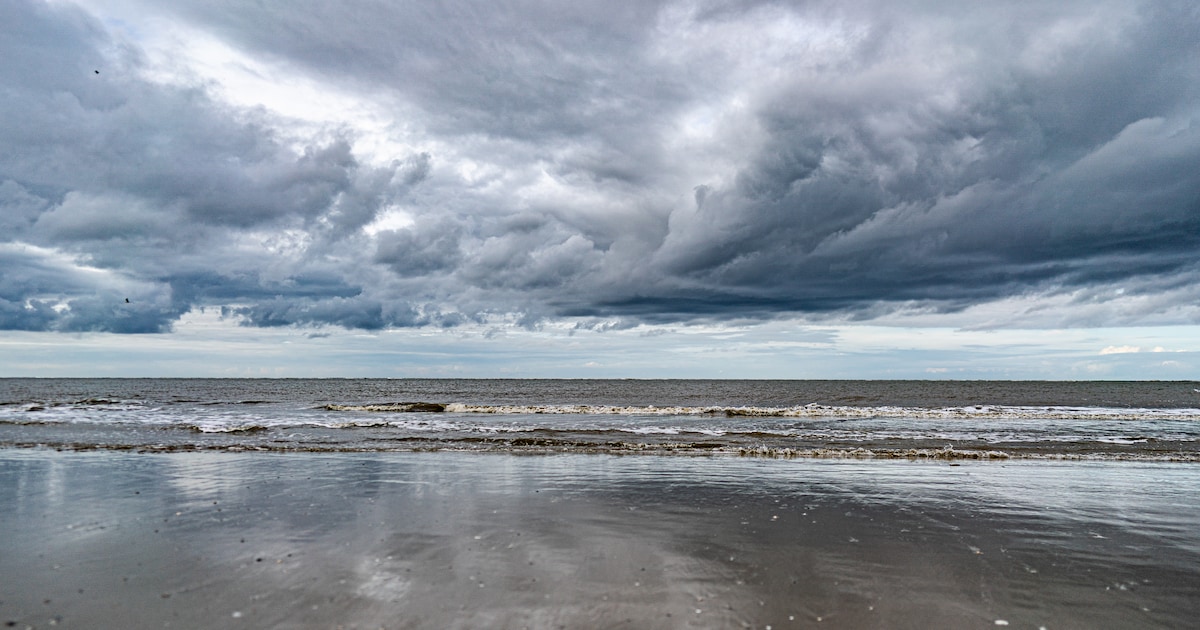 Geen gaswinning onder de Waddenzee, kabinet koopt NAM af voor 40 ...