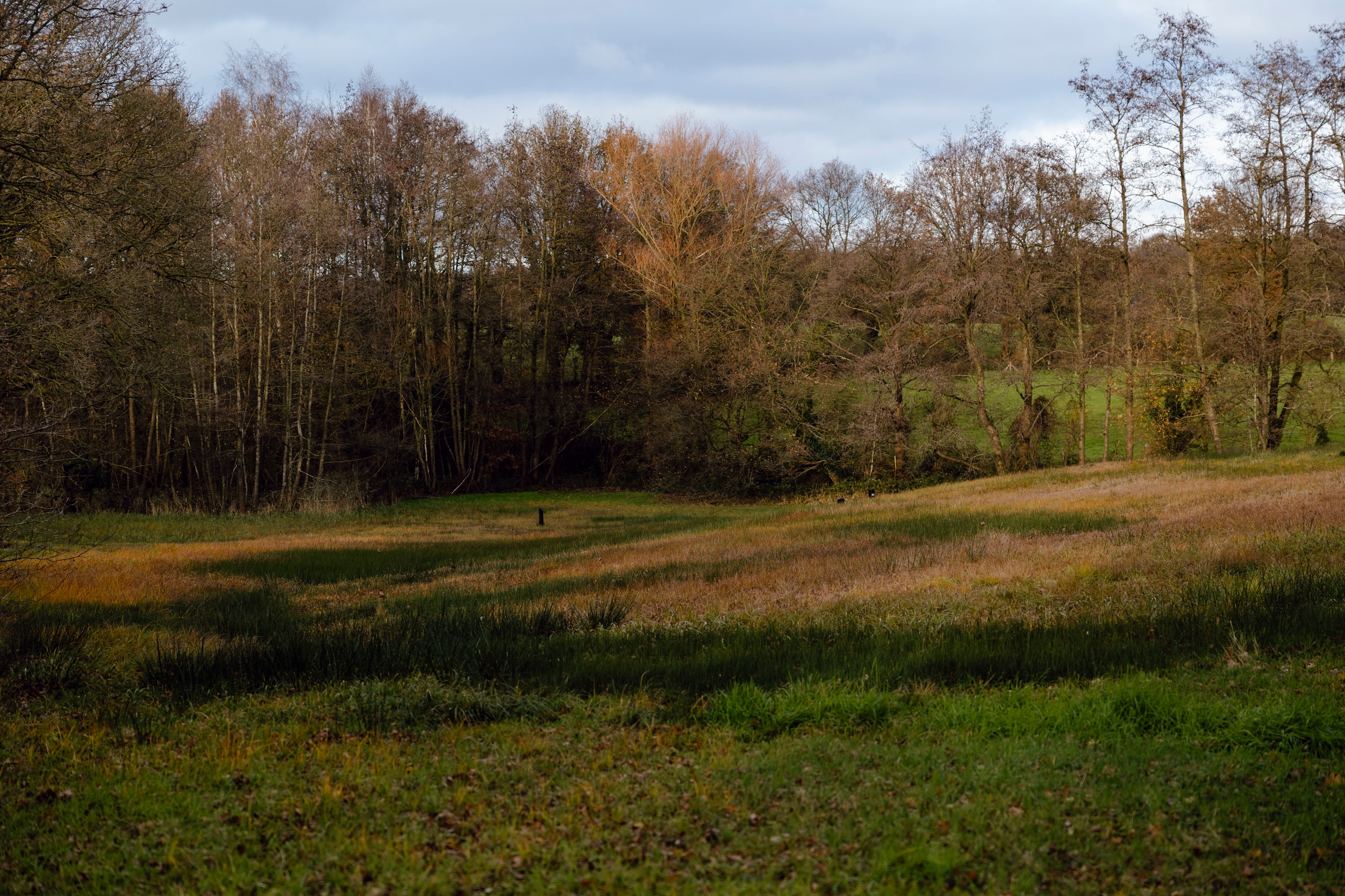 Vandaag zie ik het gewoon, hoe en waar een beek op natuurlijke wijze ...
