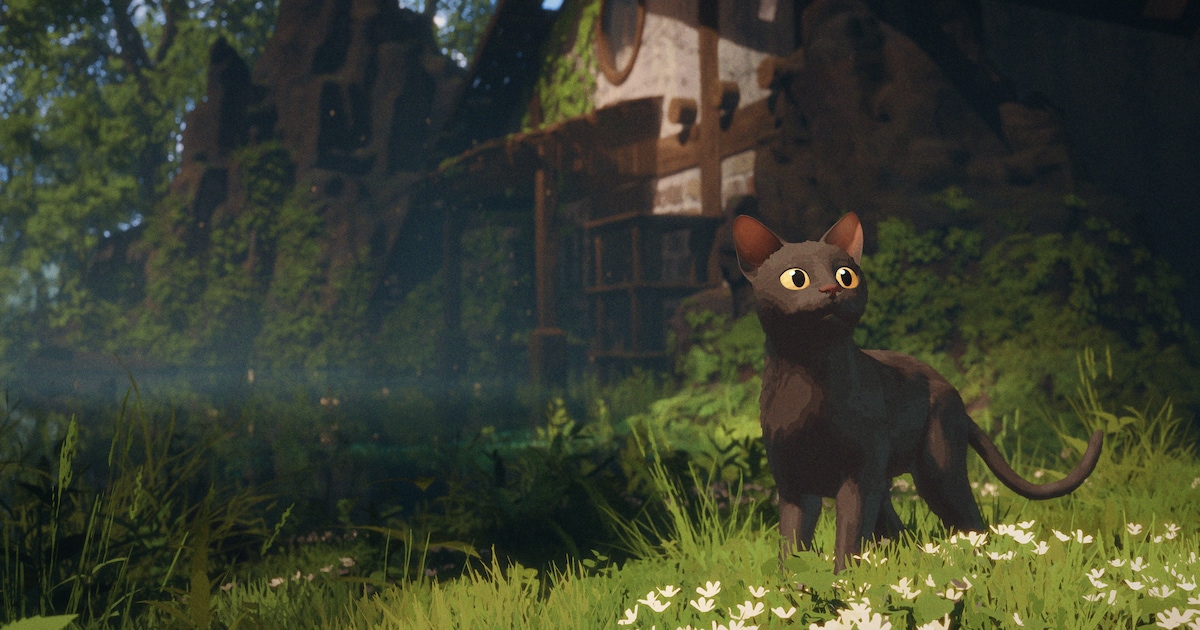 Wat als de wereld vergaat en je een kat bent? Filmmaker Gints ...