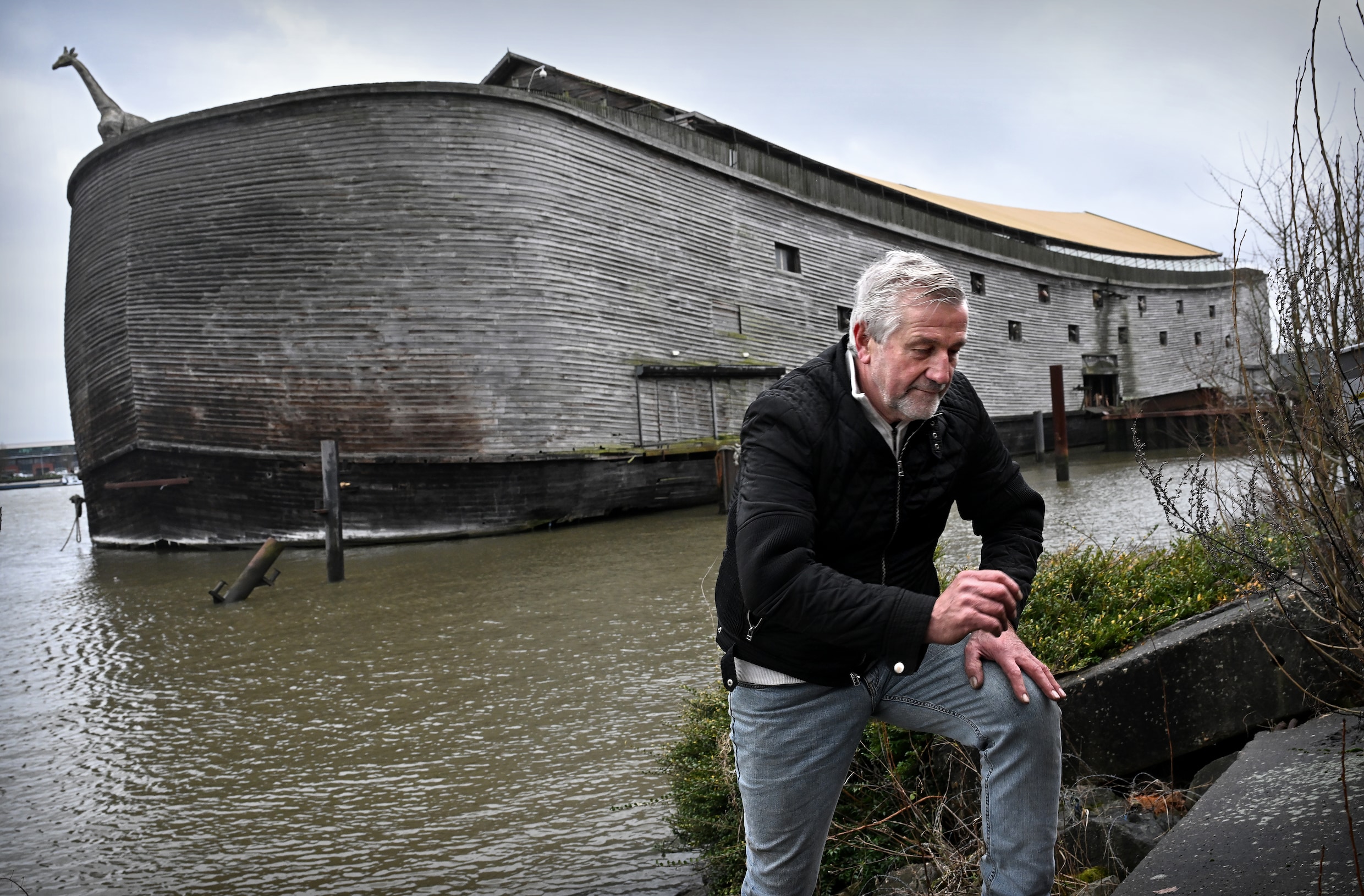 De ark van Noach krijgt een ongewone bestemming, mits hij eindelijk eens wordt verkocht | de ...