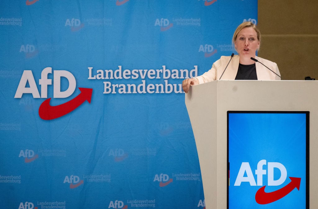 Leden van Duitse AfD op bijeenkomst met neonazi’s in Zwitserland | de Volkskrant
