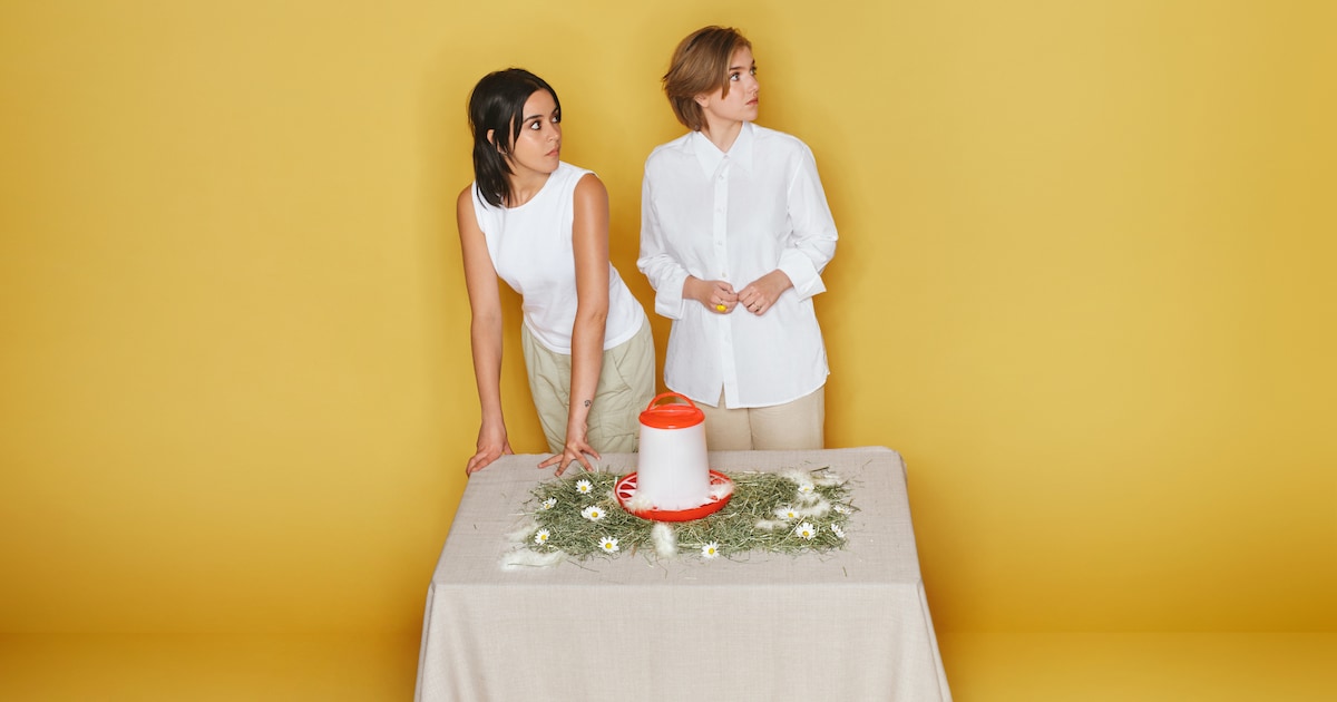 De kip verovert het podium: tragikomedie ‘Hen’, over een vogel waar wij ...