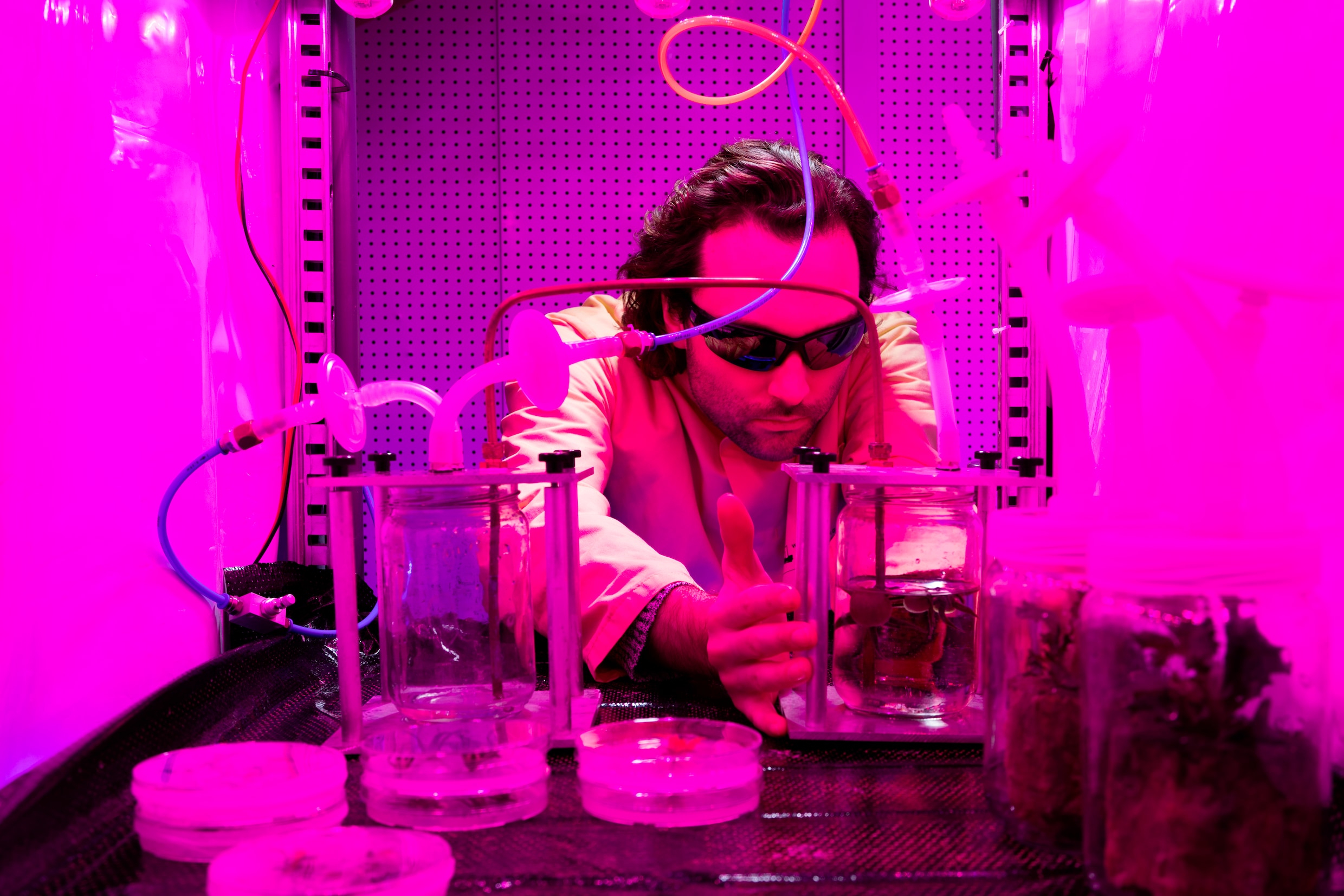 Na kweekvlees brouwen wetenschappers nu ook tomaten, koffie, katoen en ...