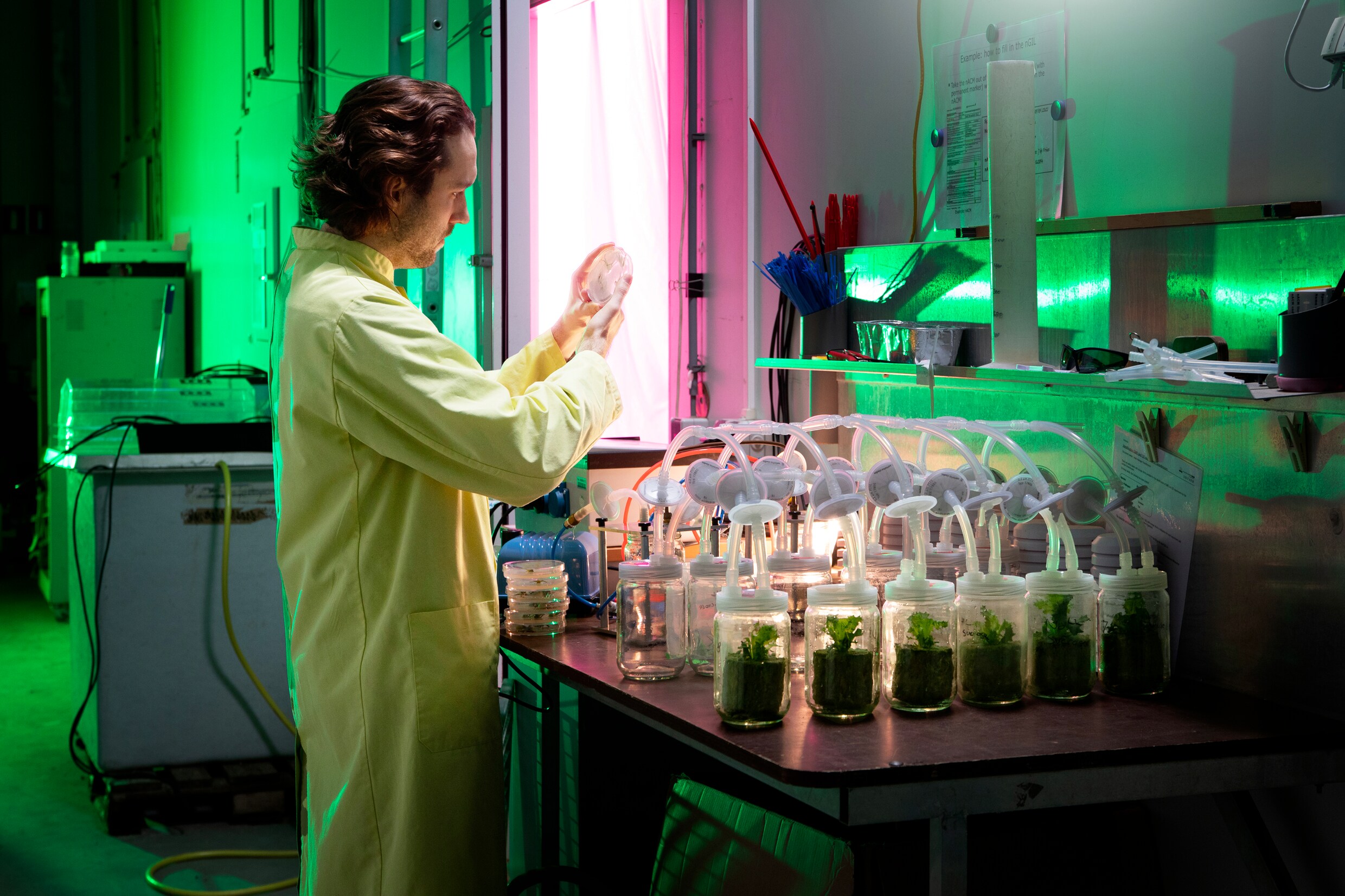 Na kweekvlees brouwen wetenschappers nu ook tomaten, koffie, katoen en ...