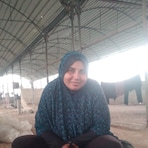 Oorlog tussen Israël en Hamas in Gaza en het Midden-Oosten | de Volkskrant