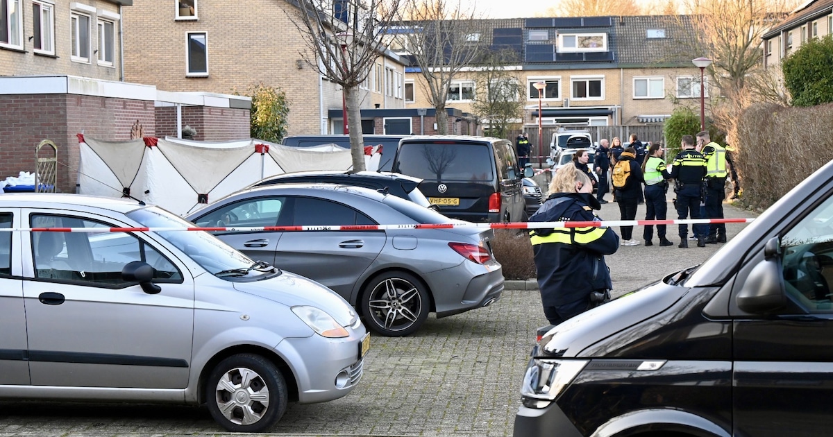 Politie onderzoekt meldingen verward gedrag van verdachte doodsteken ...