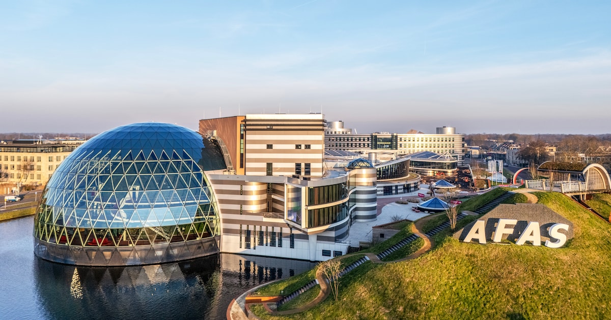 Wat schuilt achter de gulheid van het softwarebedrijf Afas? | de Volkskrant
