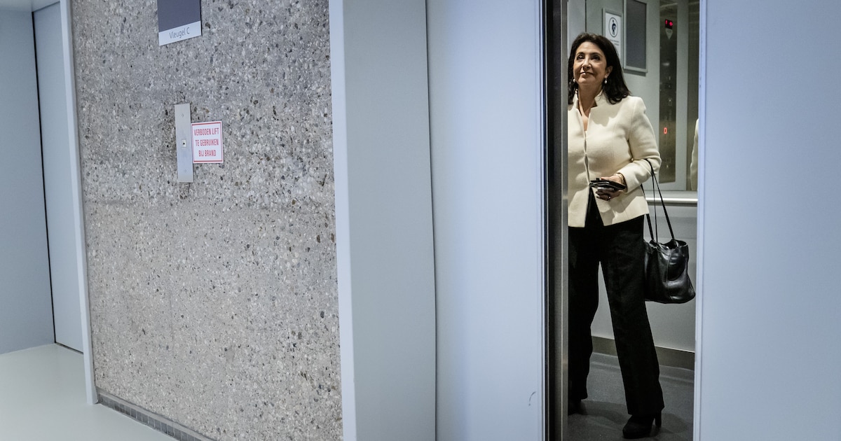 Topambtenaren bespraken lekstrategie over Arib: ‘Er is gesproken over ...