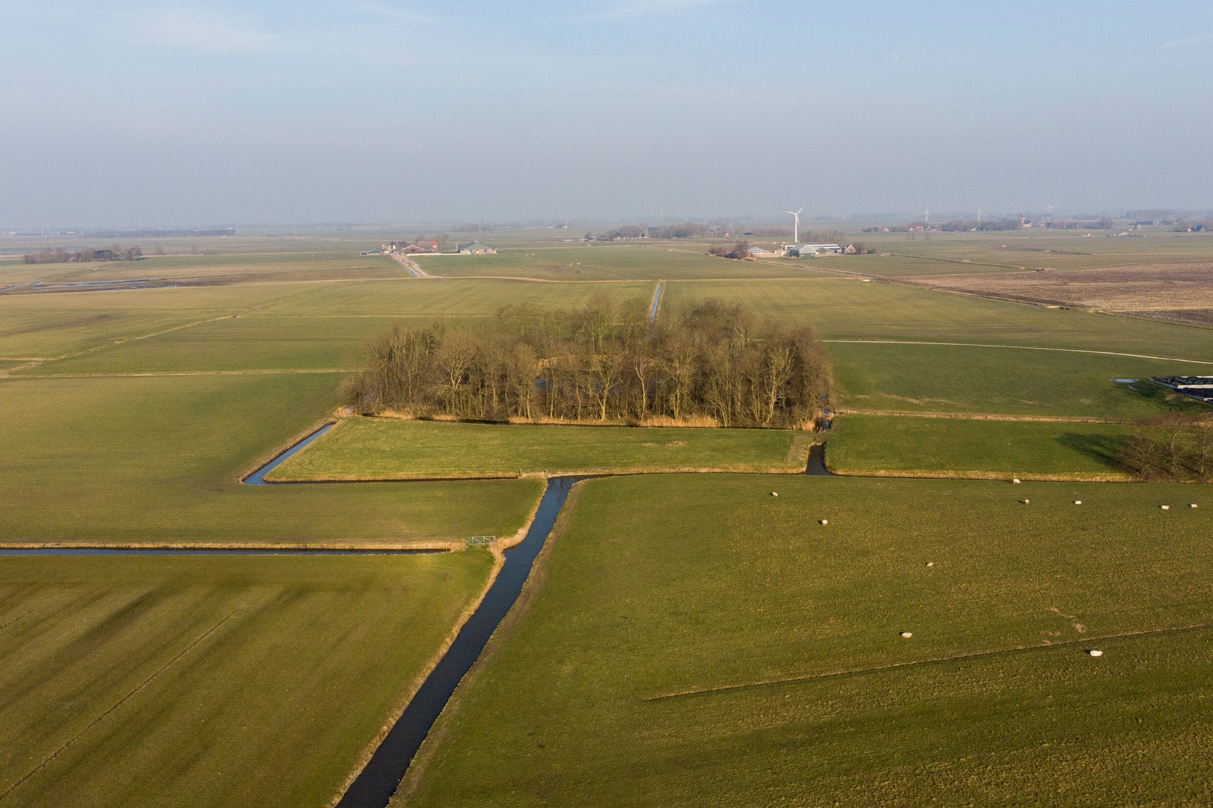 Nog maar weinig eendenkooien zijn in gebruik, en eenden worden er ...