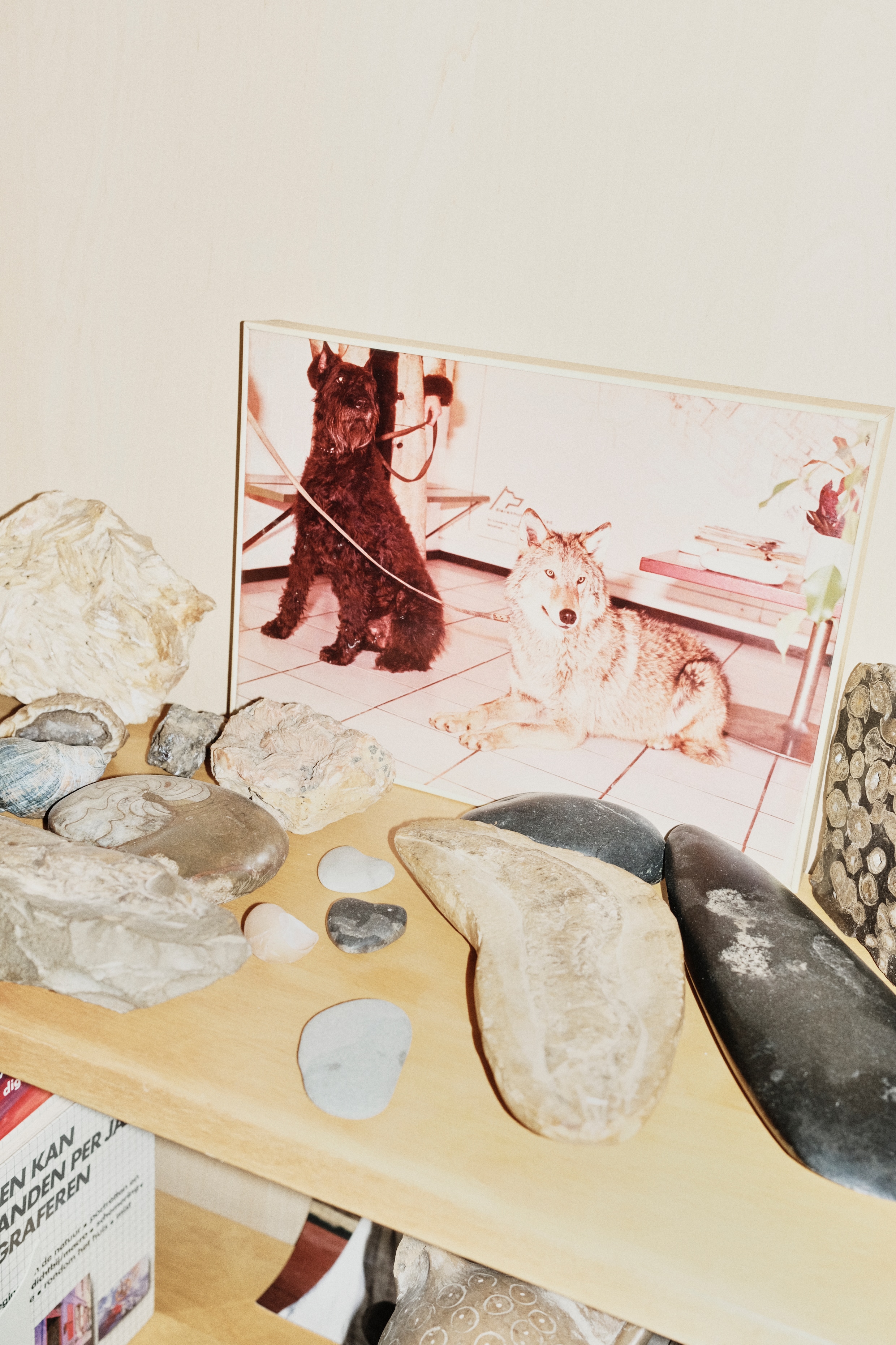 Martin Gaus: ‘Ik ben drie keer bijna dood geweest. Je hoeft er niet ...