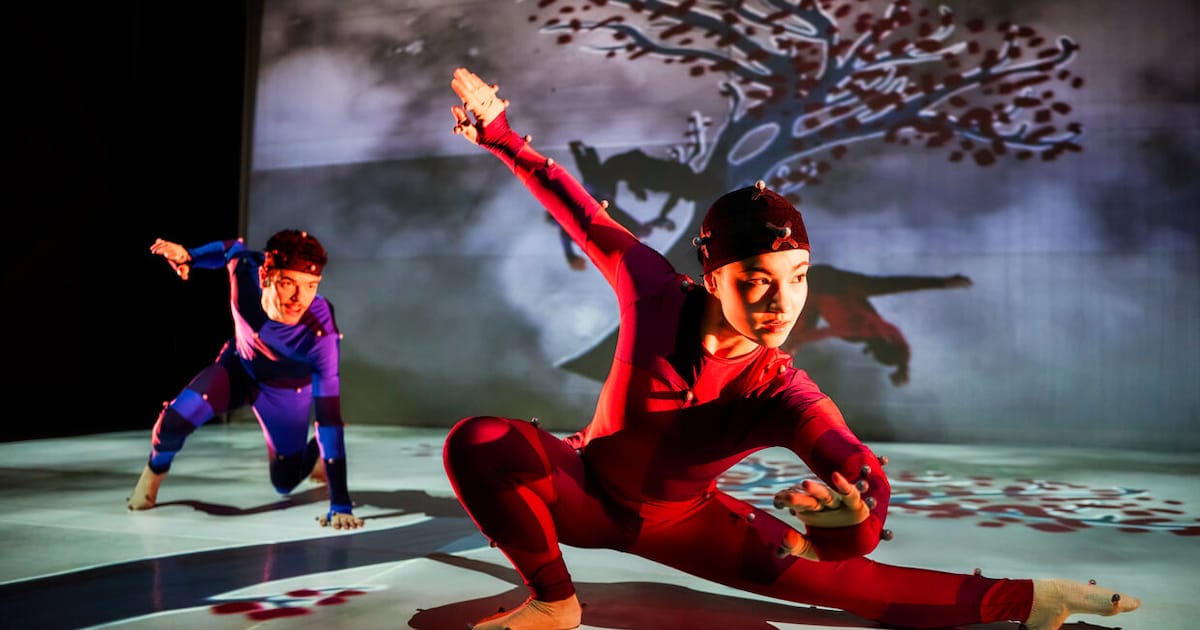 Dansen met slimme software en interactie met jeugdig publiek, maakt van ...