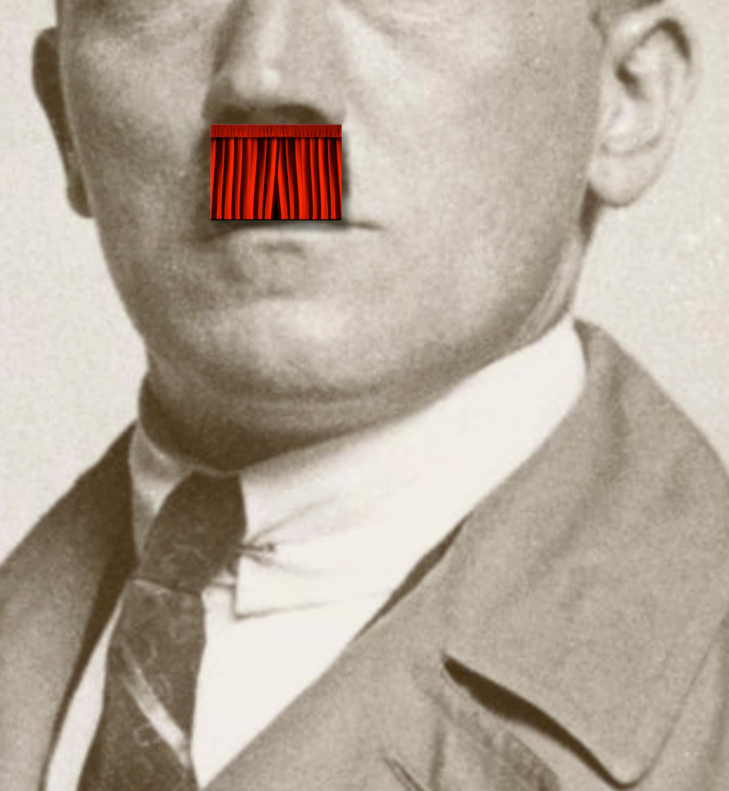 In zijn boek over de machtsovername van Adolf Hitler verliest Timothy ...