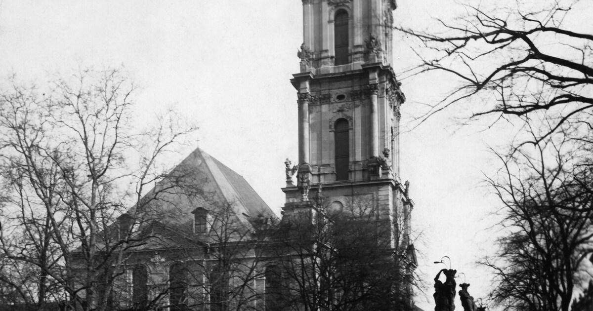 Wilhelm II wil terug op de troon, via de nazi’s | de Volkskrant