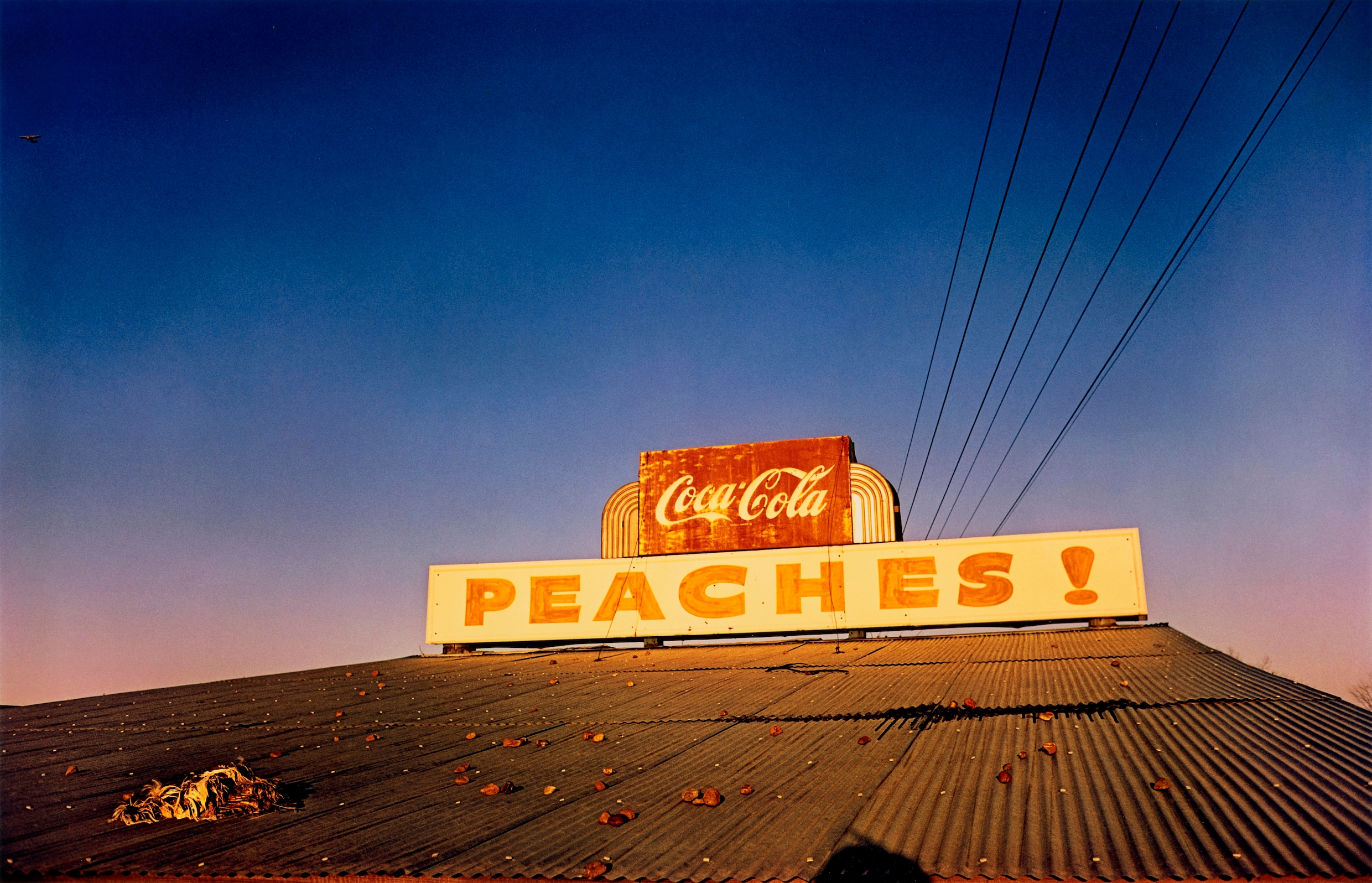 Veiling van foto’s van William Eggleston levert een record op: 1,5 ...