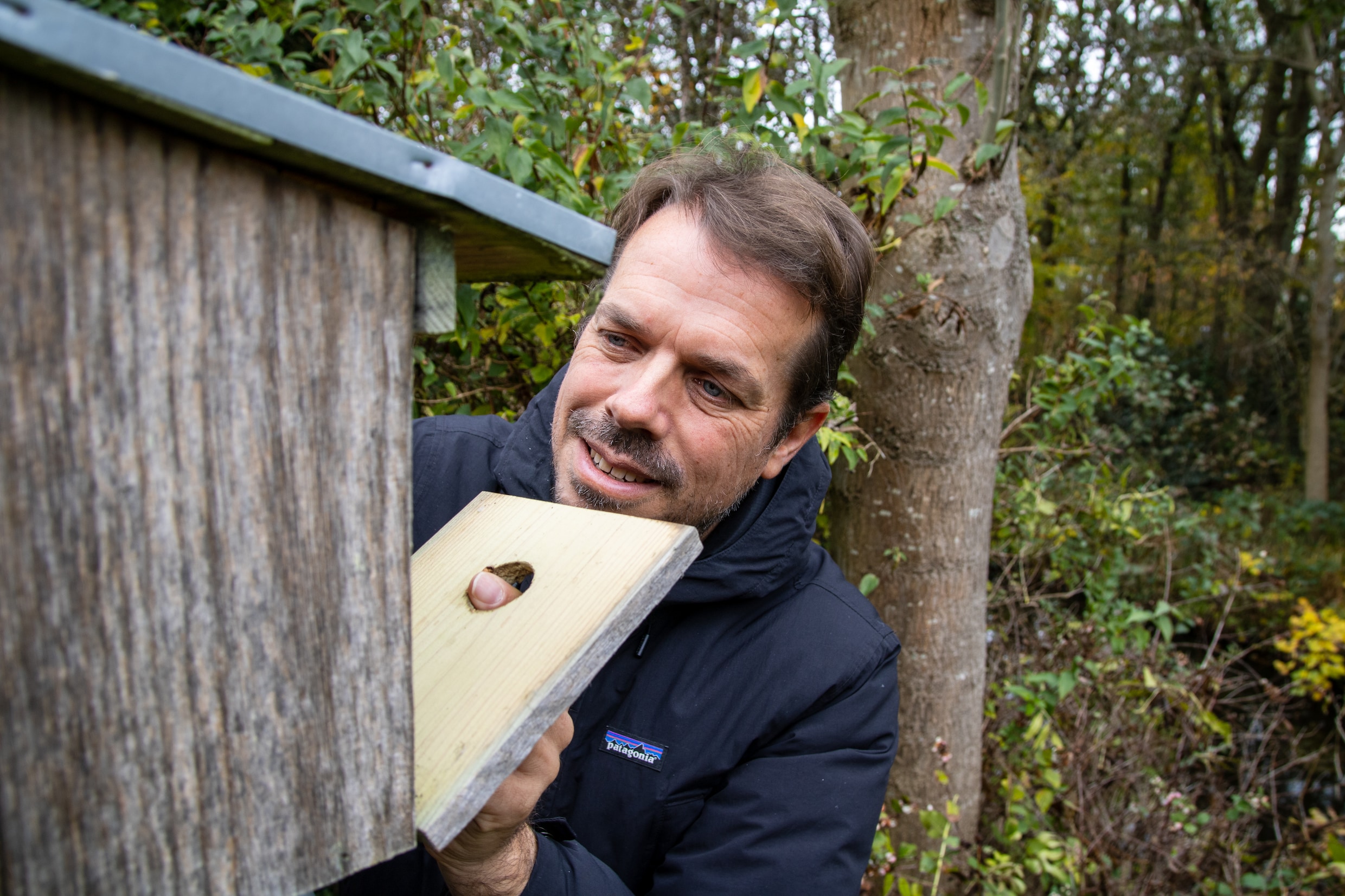 Wat gaat er mis met de koolmees? Iedereen met een nestkast kan helpen ...