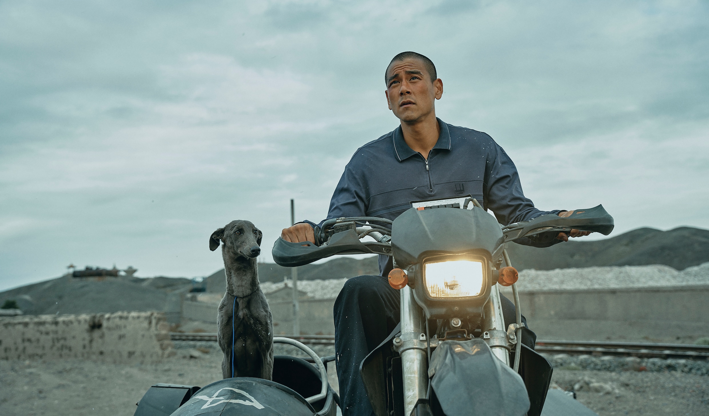 Een gevoeliger honden-filmoptreden dan in het innemende ‘Black Dog’ zul ...