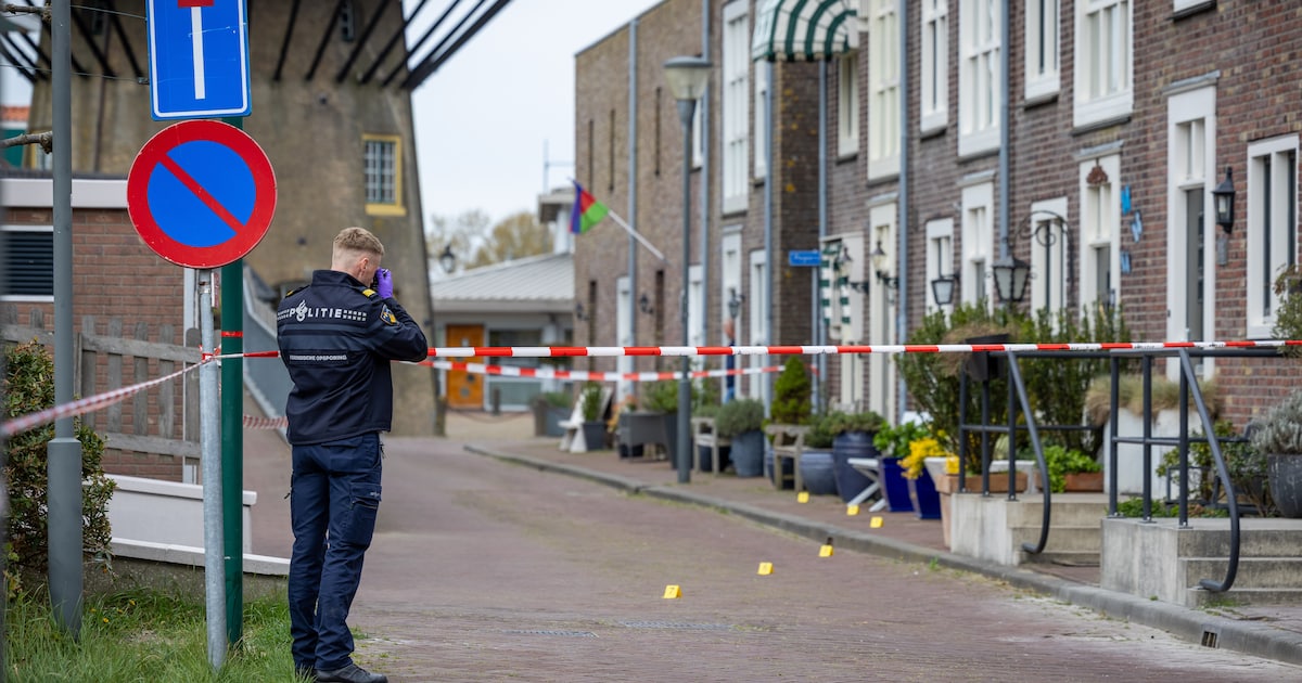 63-jarige vrouw in Hellevoetsluis mogelijk omgebracht door zoon ...