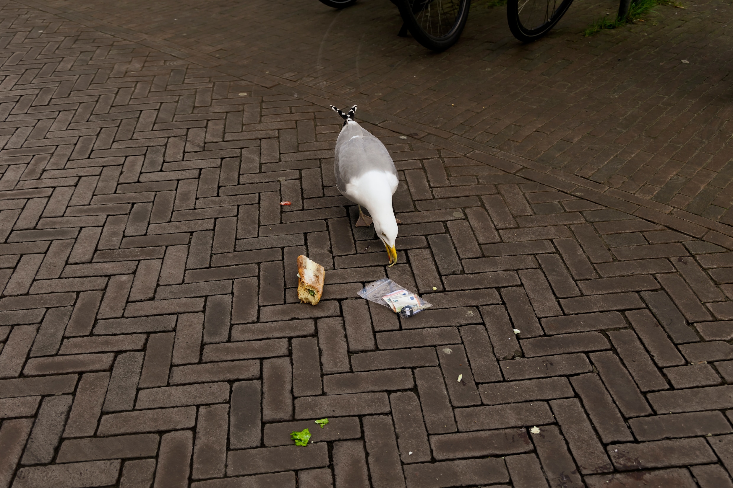 Waar word je gelukkig van? Een proef met verloren portemonnees leert ...