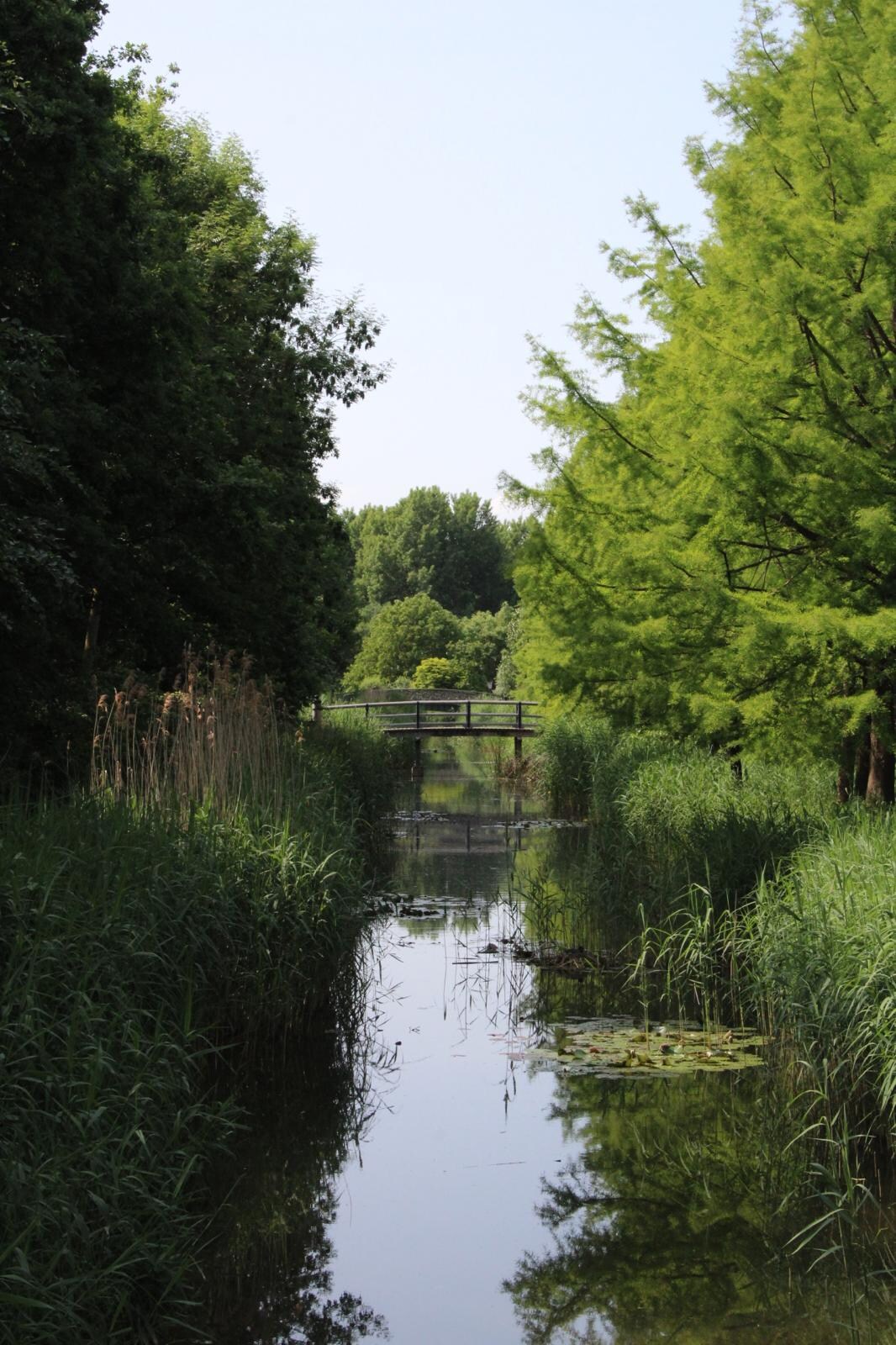 Wandel met ons mee door het Maximápark, een uitbundig jong park op ...