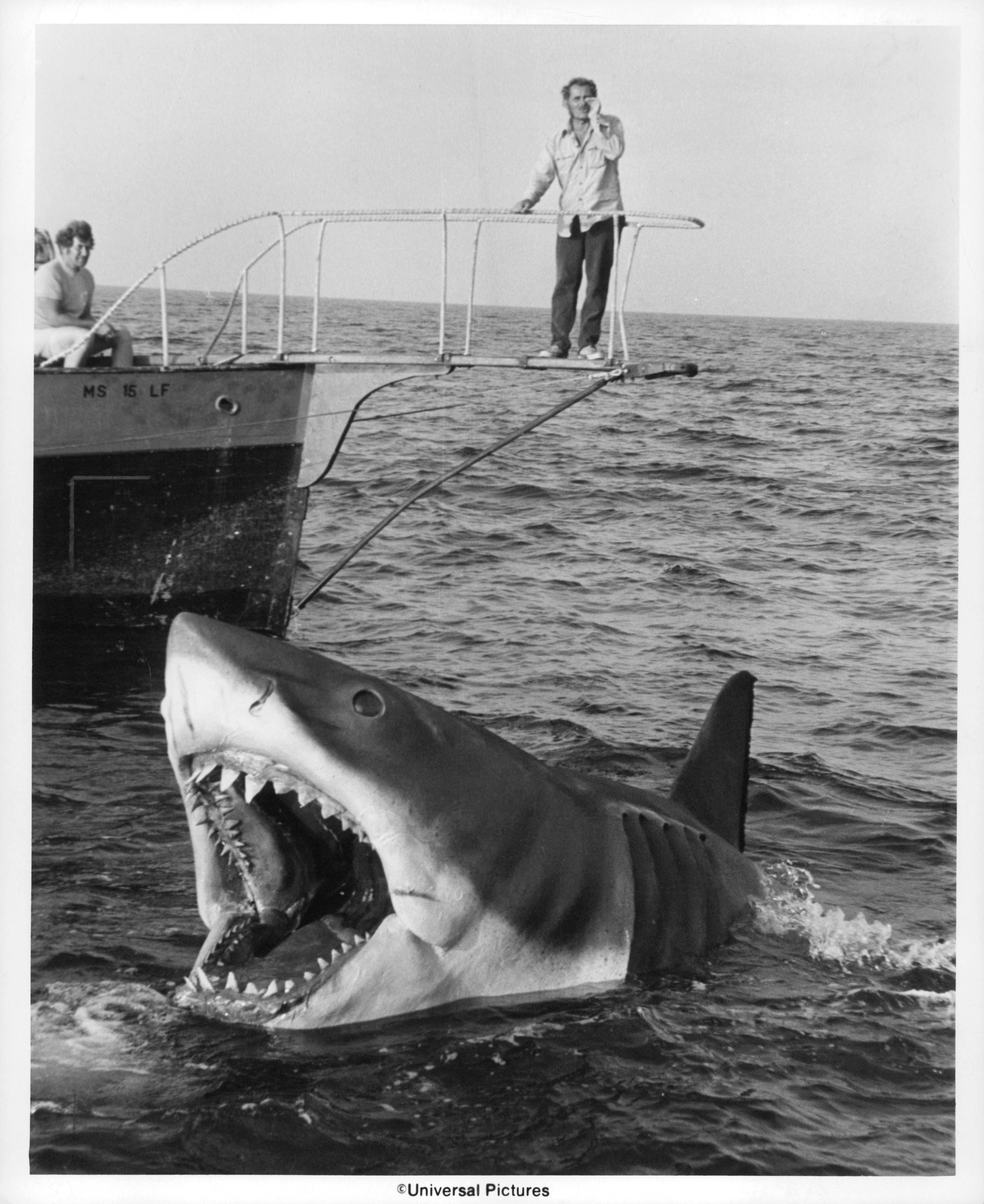Da-dum, da-dum, da-dum-da-dum: ‘Jaws’ is 50 jaar. Hoe veranderde deze ...