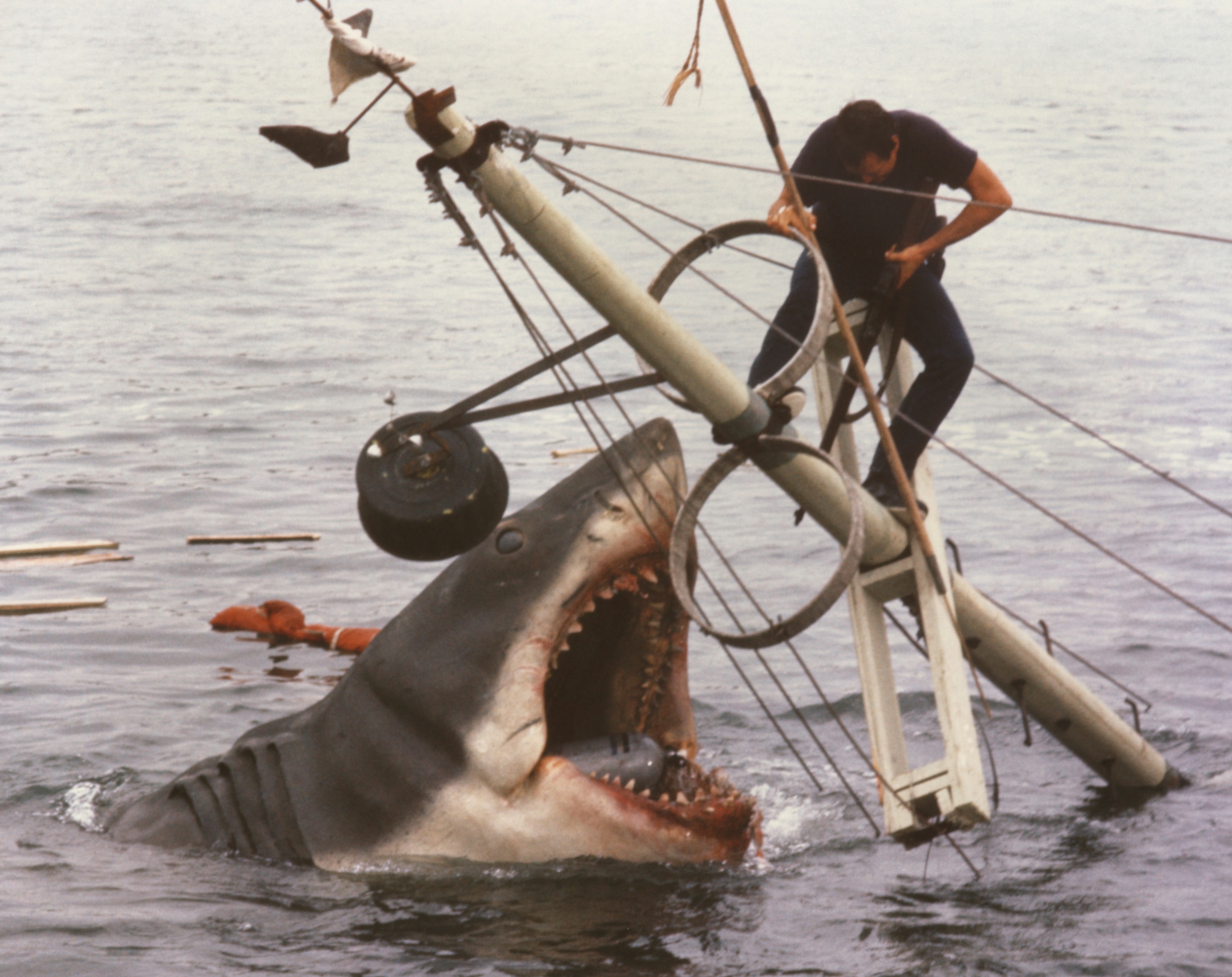 Da-dum, da-dum, da-dum-da-dum: ‘Jaws’ is 50 jaar. Hoe veranderde deze ...
