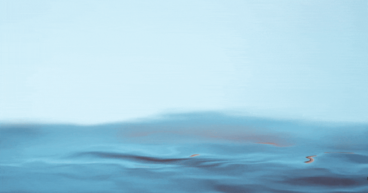 Da-dum, da-dum, da-dum-da-dum: ‘Jaws’ is 50 jaar. Hoe veranderde deze ...