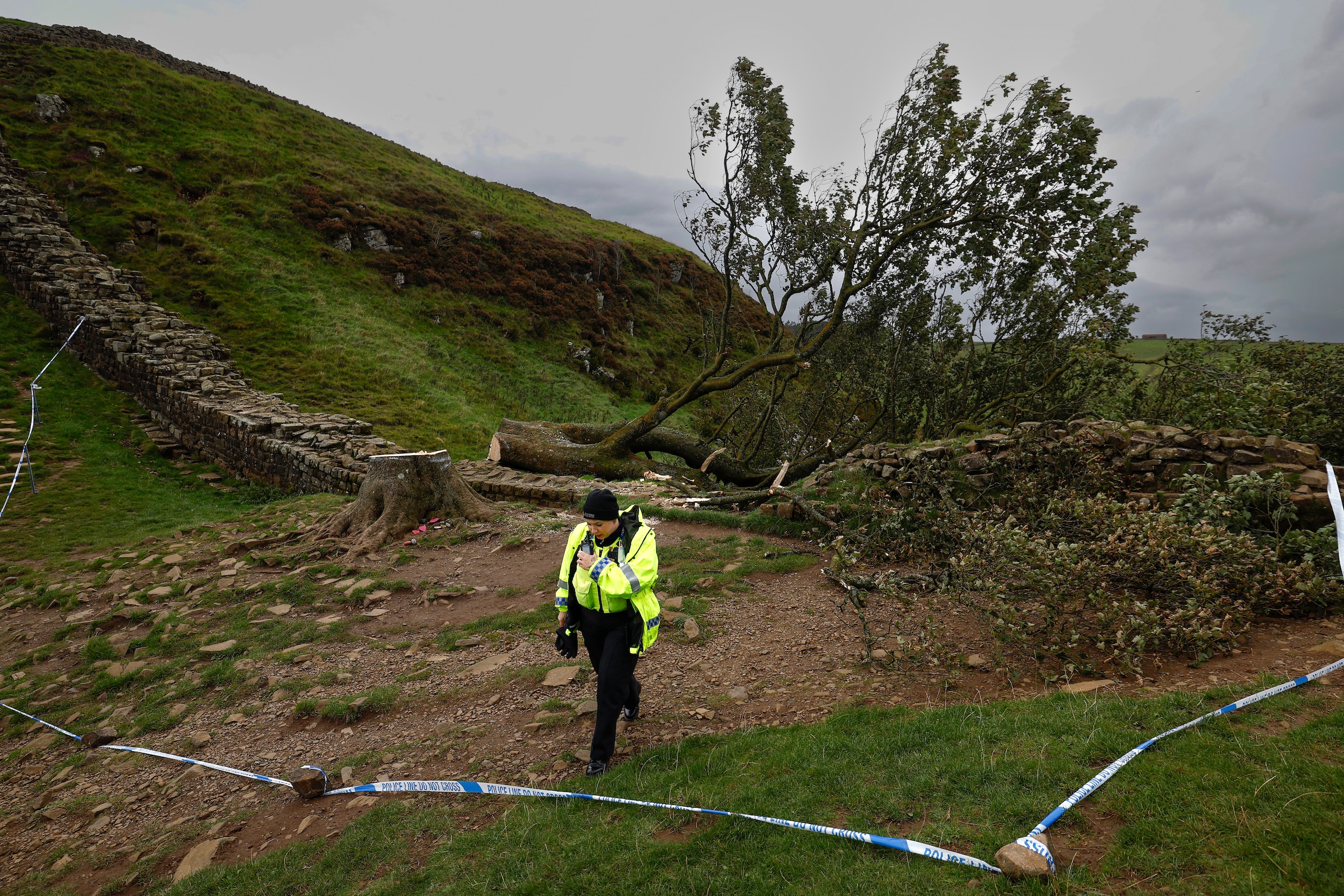 Celstraf voor twee Britse houthakkers die de geliefde ‘Robin Hood-boom ...