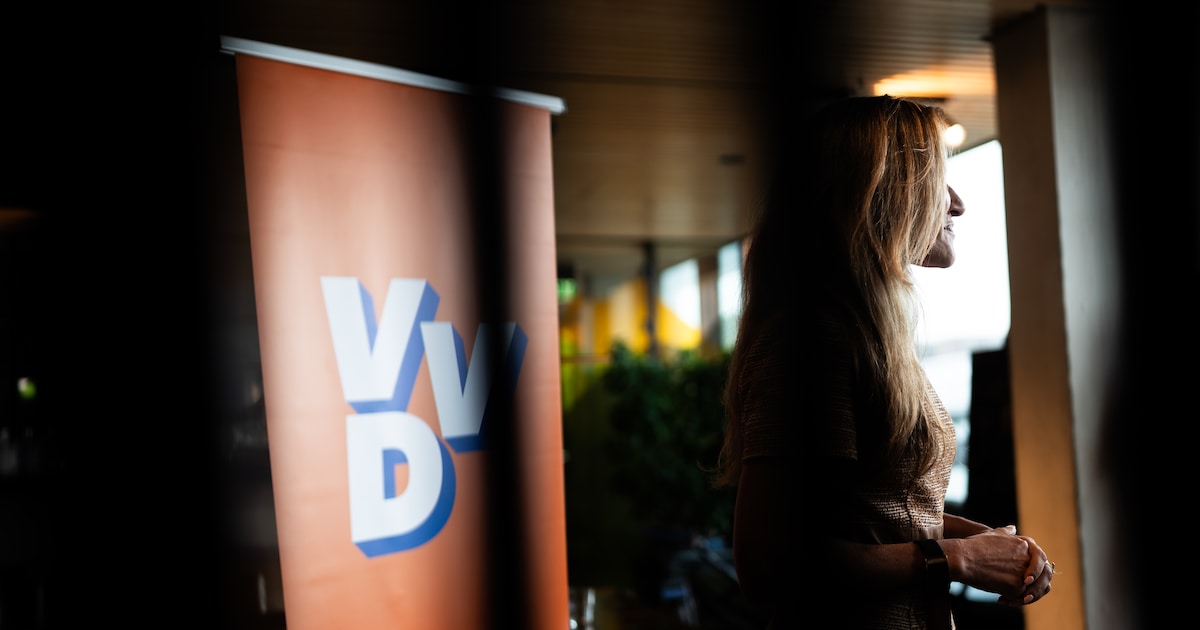 Ook VVD kiest met kandidatenlijst vooral voor stabiliteit, enkel ...