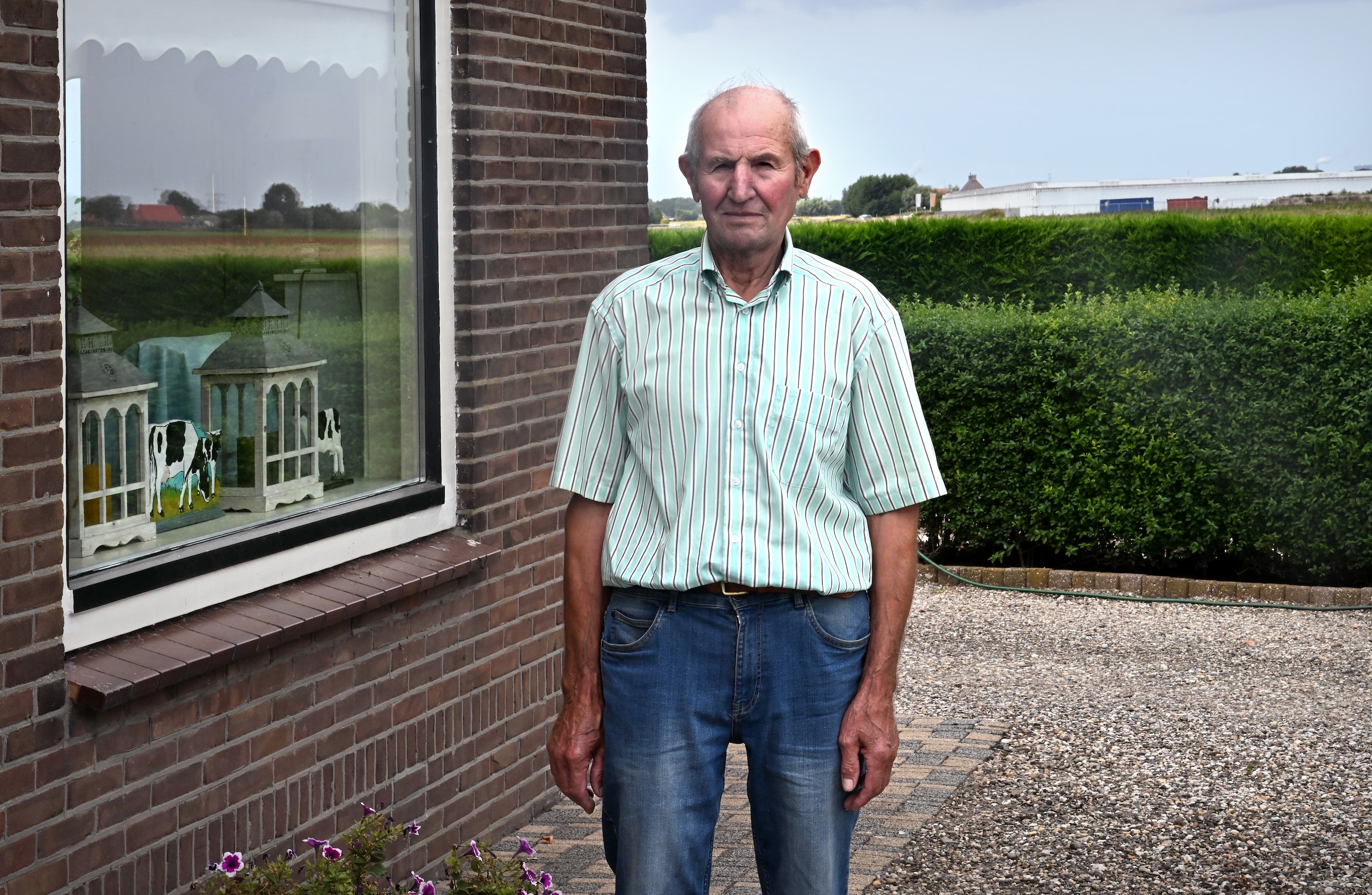 Grootste legale wietkwekerij veroorzaakt stankoverlast: ‘Mensen durven ...