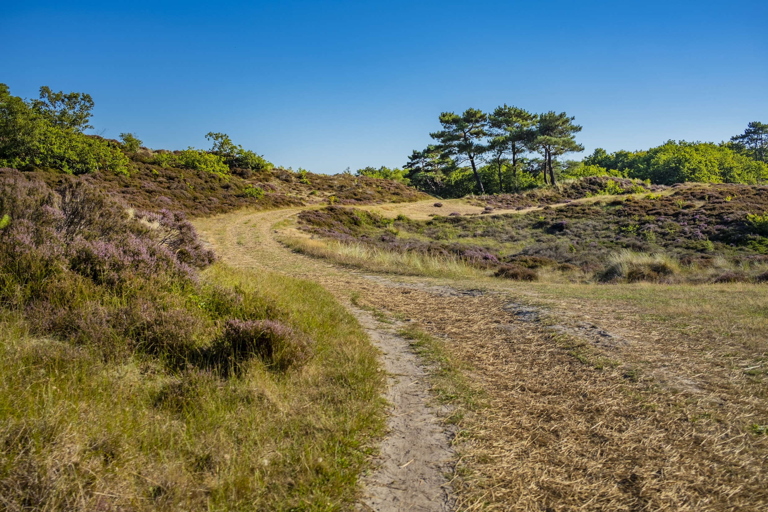 Annejet van der Zijl: ‘Ik ervaar het als een grote luxe om twee levens ...