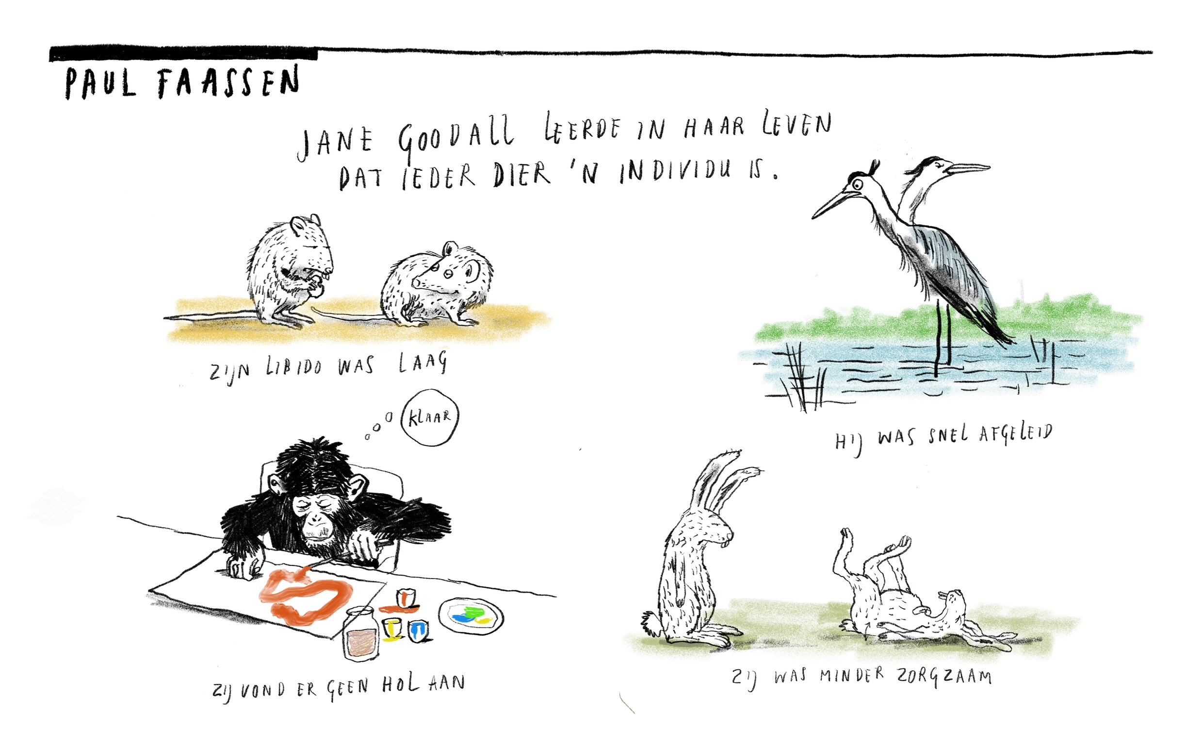 Paul Faassen | de Volkskrant