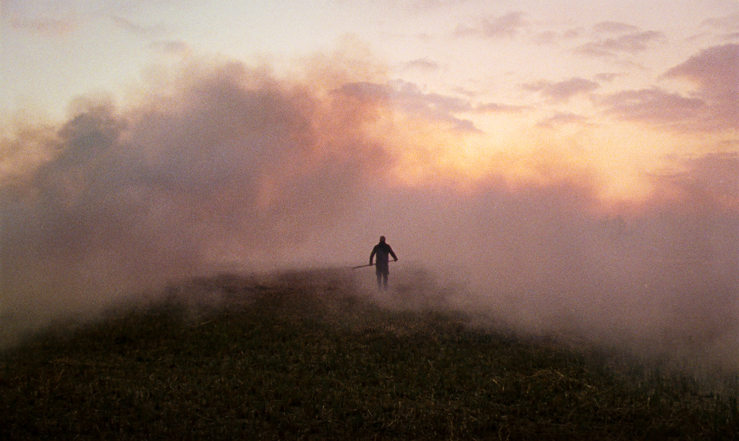 ‘Rietland’, met bezieling geregisseerd, is een thriller over latent ...