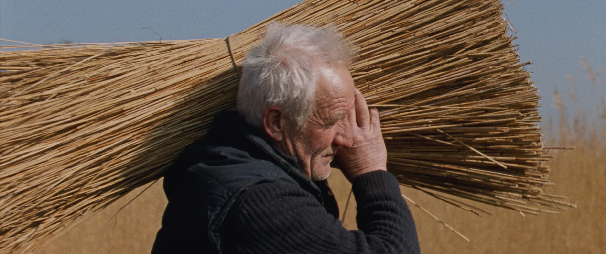 Regisseur Sven Bresser vraagt zich in het moordmysterie ‘Rietland’ af ...