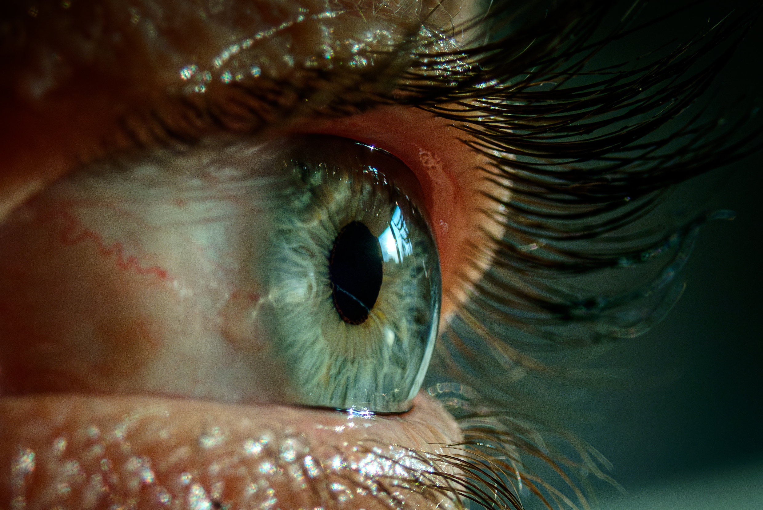 Nieuwe Zweedse ‘minimonitor’: ultraklein beeldscherm via contactlens ...