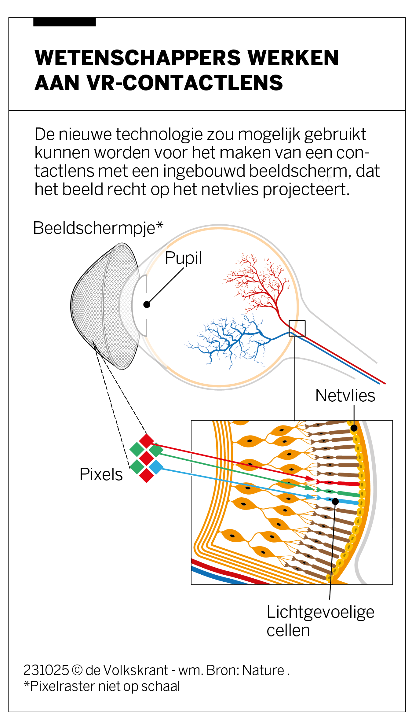 Nieuwe Zweedse ‘minimonitor’: ultraklein beeldscherm via contactlens ...