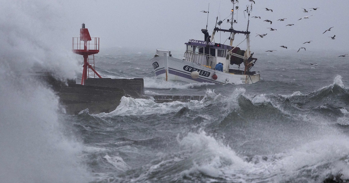 Opgepast: storm Benjamin komt straks verraderlijk snel opzetten | de ...
