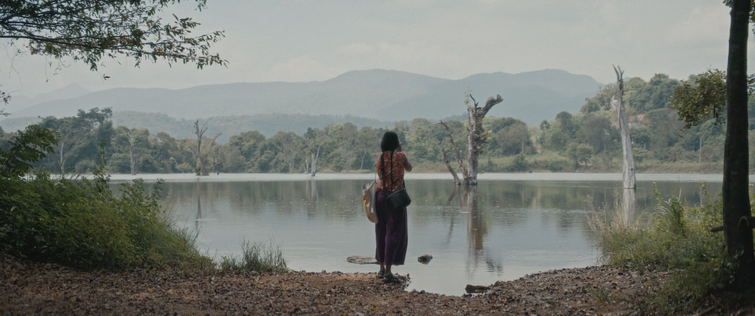 Meer dan 250 documentaires tijdens IDFA | de Volkskrant