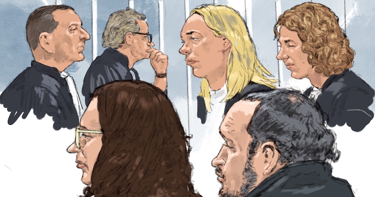 Pleegouders en biologische moeder: ‘Hulpverleners rond Vlaardings pleegmeisje moeten worden ...