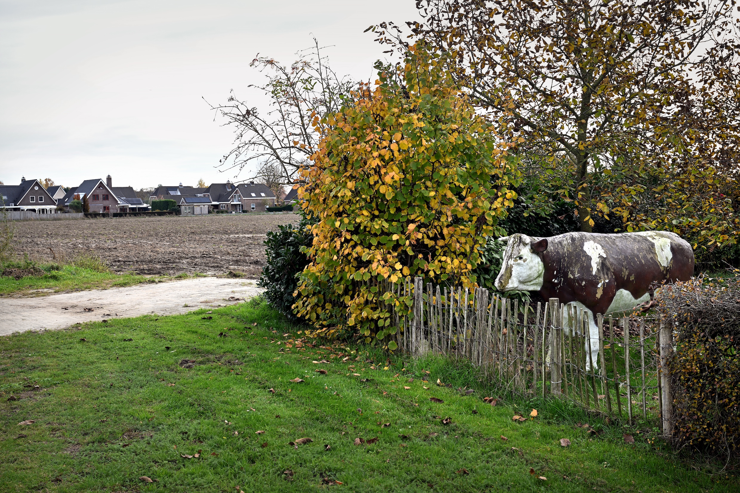 Wat betreft stikstof kunnen CDA en D66 elkaar prima vinden | de Volkskrant