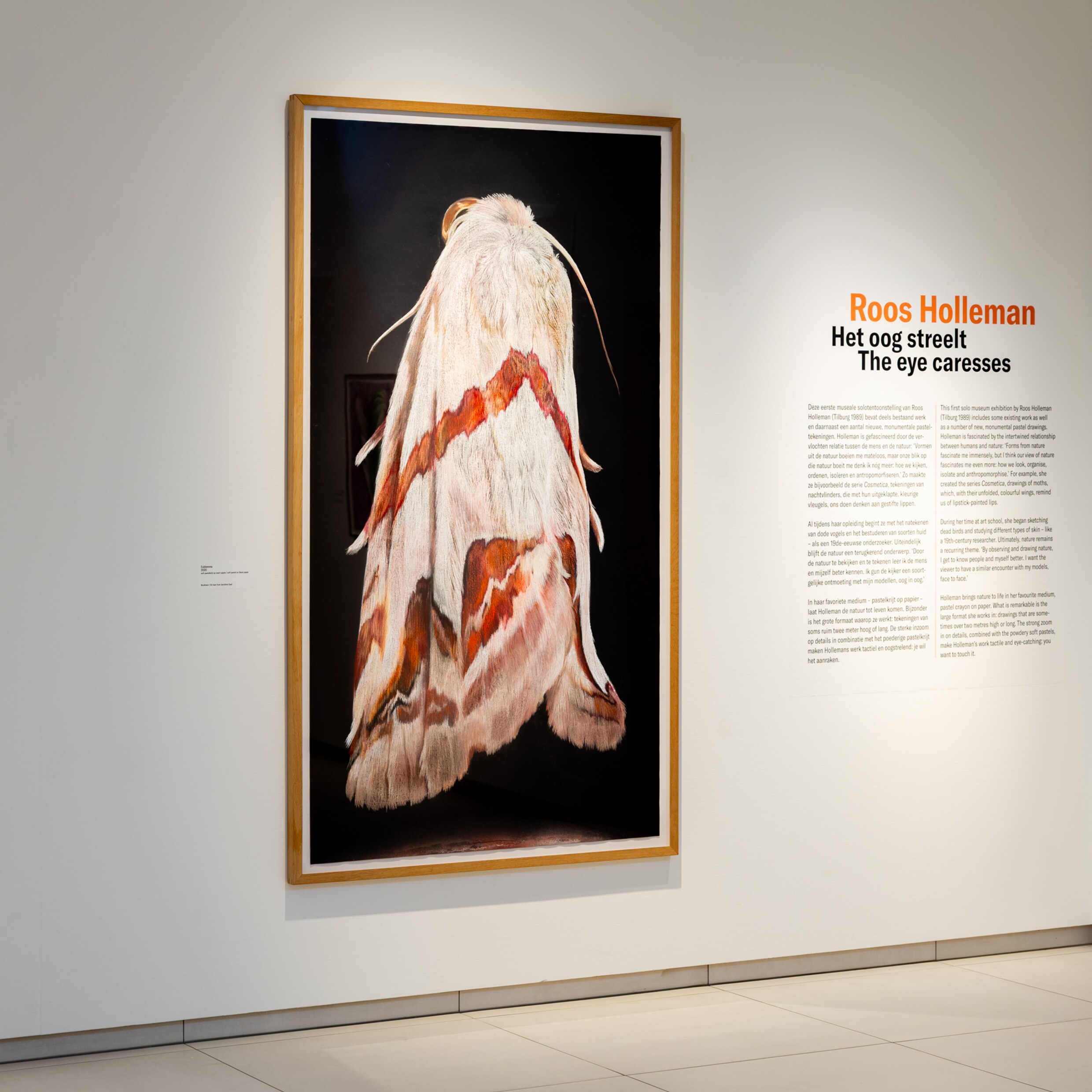 Beeldende kunst | de Volkskrant