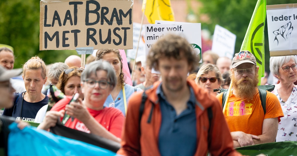 Jagers klagen dat regels te streng zijn om Bram en Hubertus af te ...