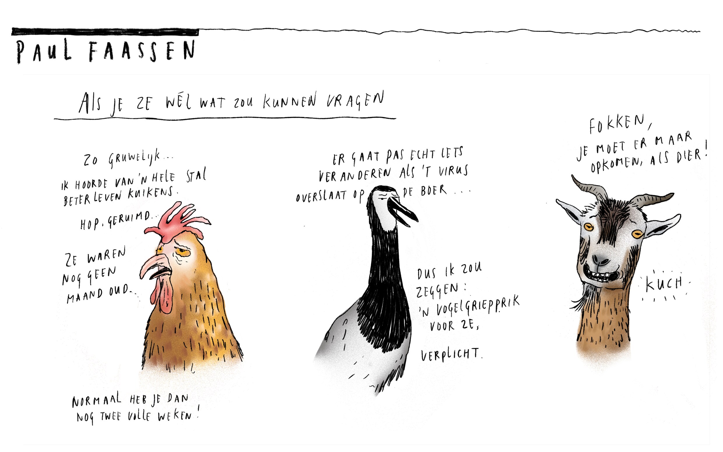 Paul Faassen | de Volkskrant