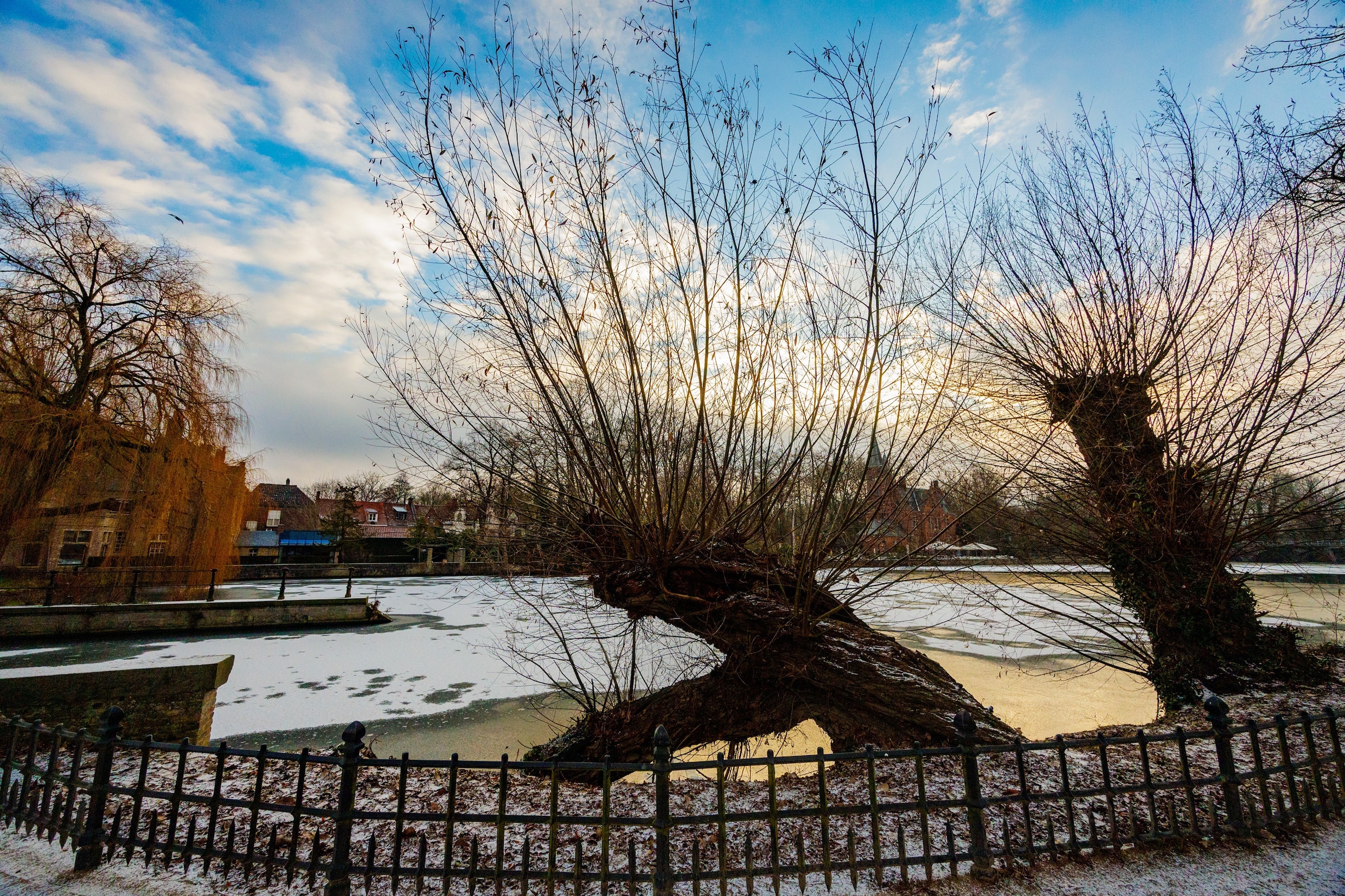 Live winterweer: ­Ict-storing NS veroorzaakt door datafout in ...