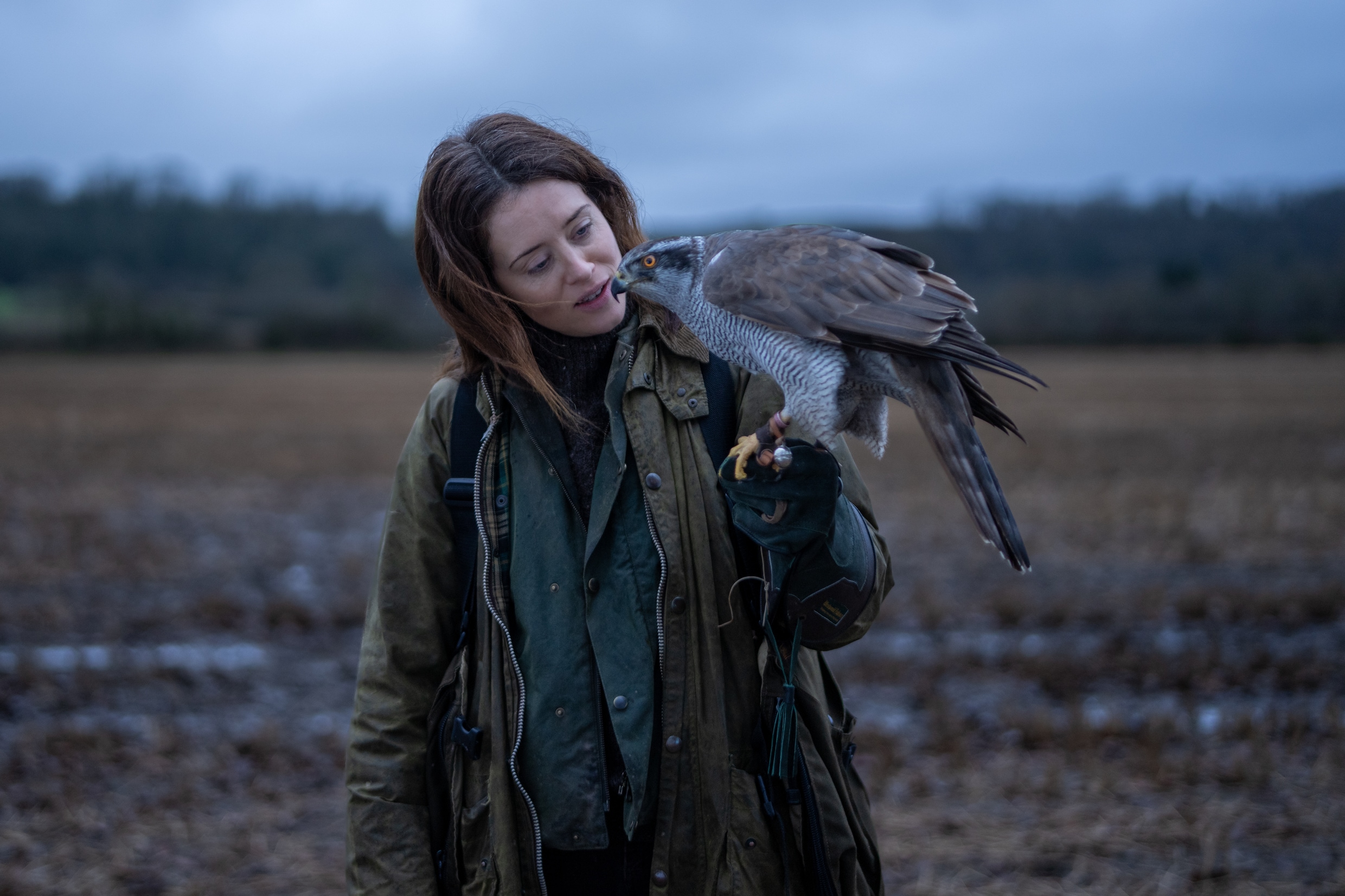‘H is for Hawk’ is ontroerend, zonder al te veel te vervallen in ...