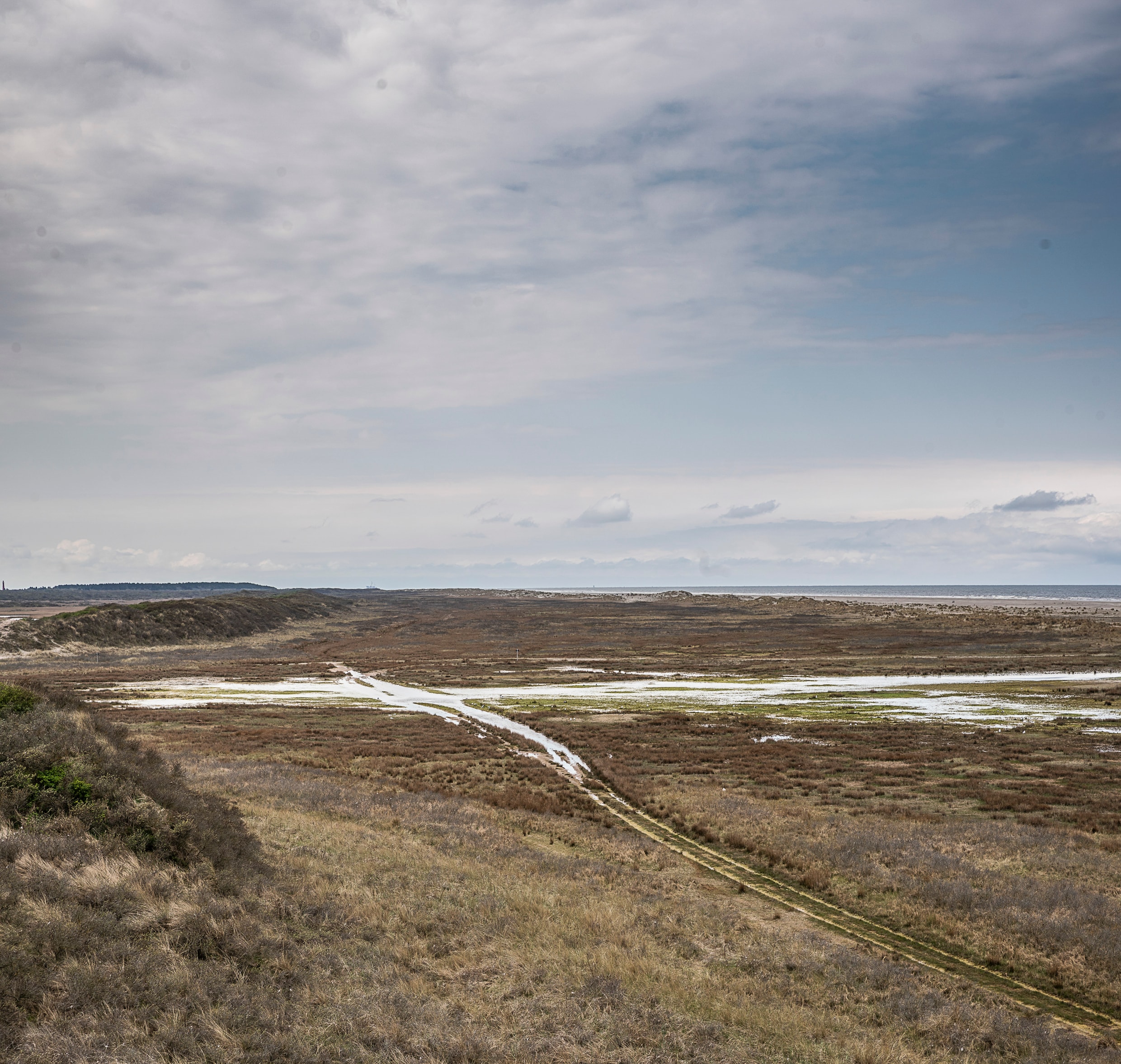Gaat de Waddennatuur op slot? Rijkswaterstaat wil publiek weren ‘voor ...