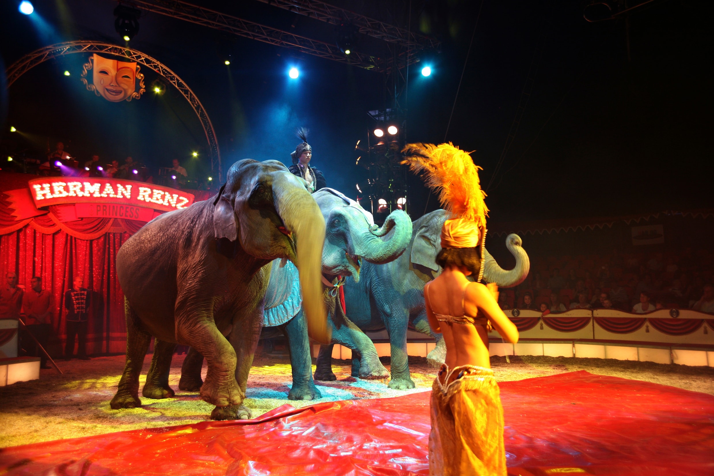 ‘Niet alle olifanten in het circus zijn als Dumbo’ | de Volkskrant