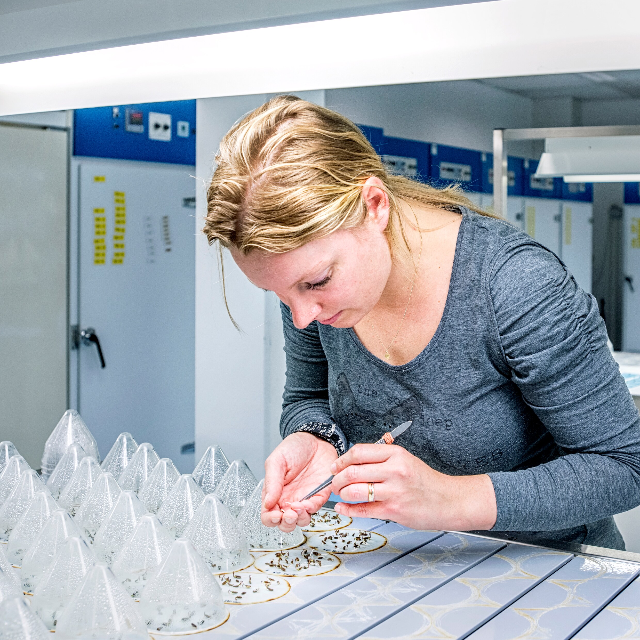 Opinie: Ruimere verlening van patenten bedreigt de voedselzekerheid en ...