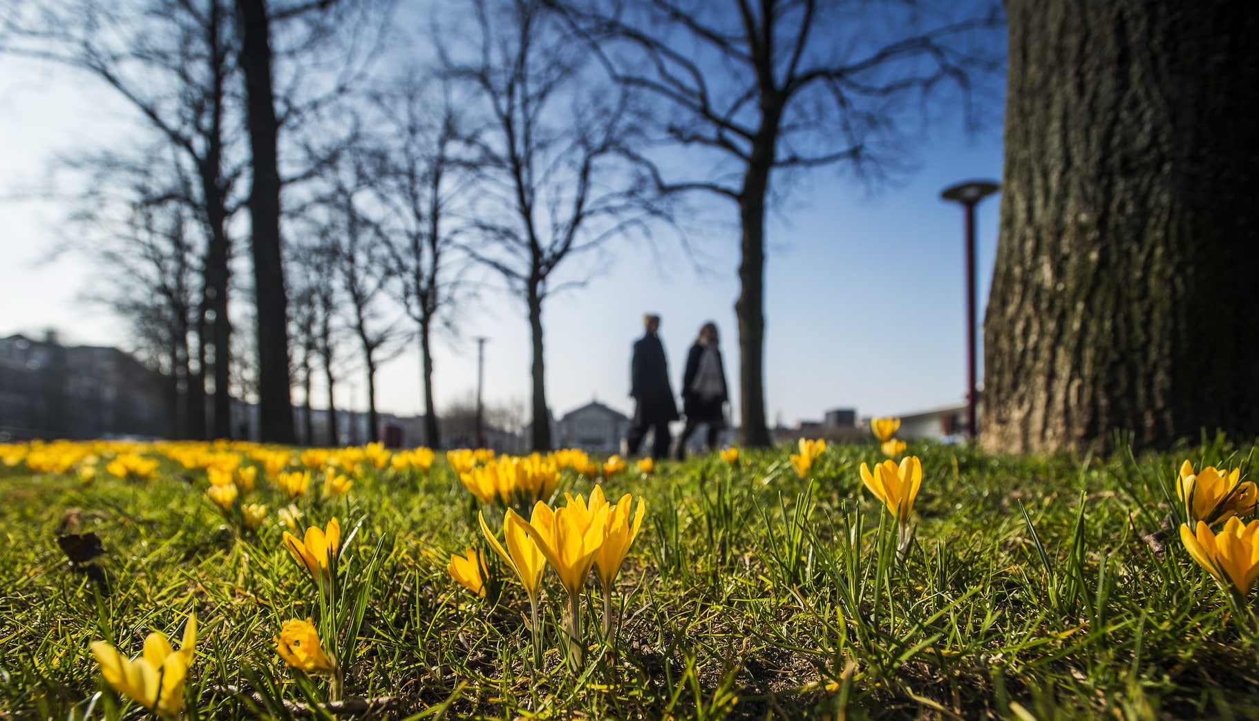 'Natuur loopt drie weken achter op 2014' | de Volkskrant