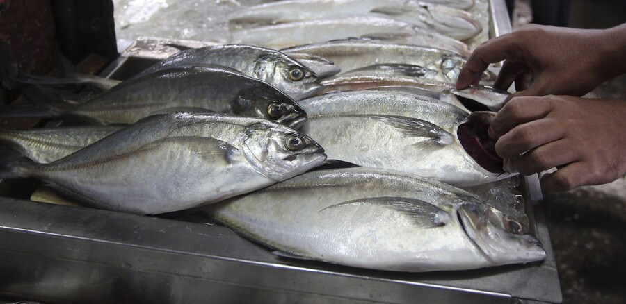 Engelse bischoppen willen vrijdag-visdag in ere herstellen | de Volkskrant